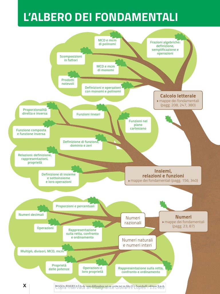 Bergamini - Albero Dei Fondamentali | PDF