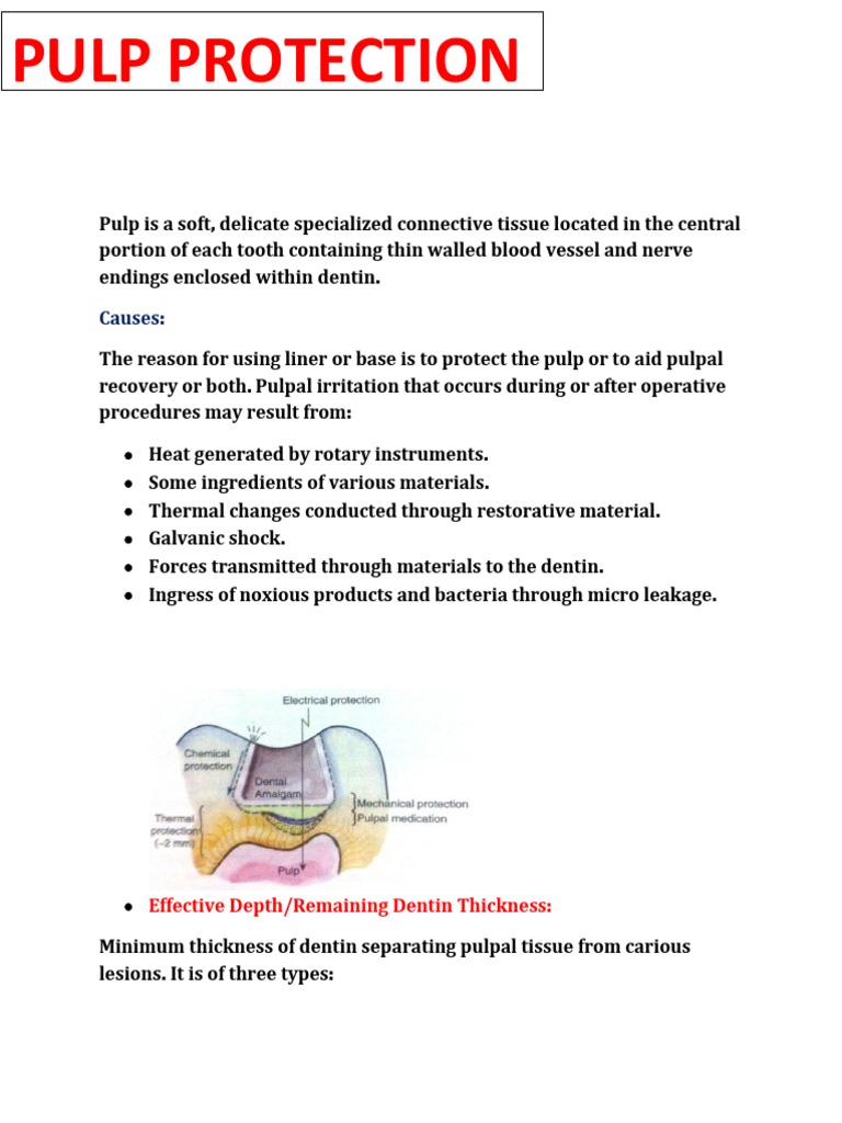 Pulp Protection Corrected | PDF | Dental Composite | Materials