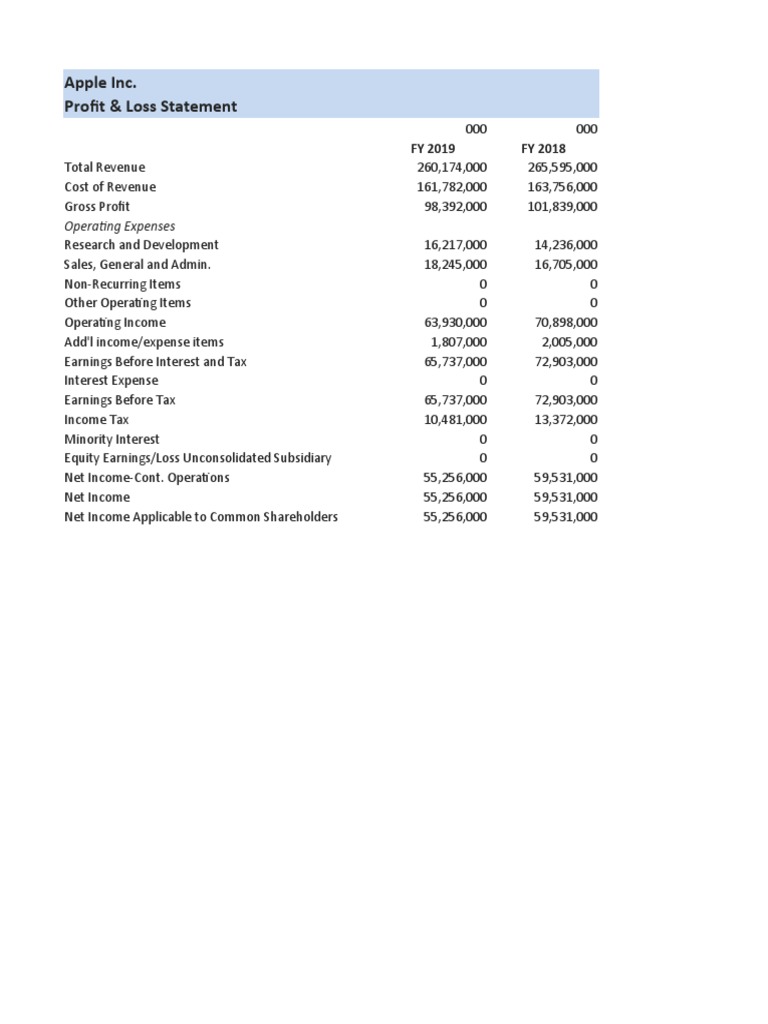 Apple Inc. Financial Statements 2019-2024 | PDF | Income Statement ...