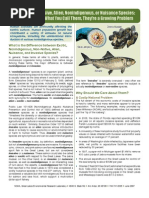 Sheldon Emry The Great 1976 Swine-Flu Caper | PDF | Swine Influenza ...