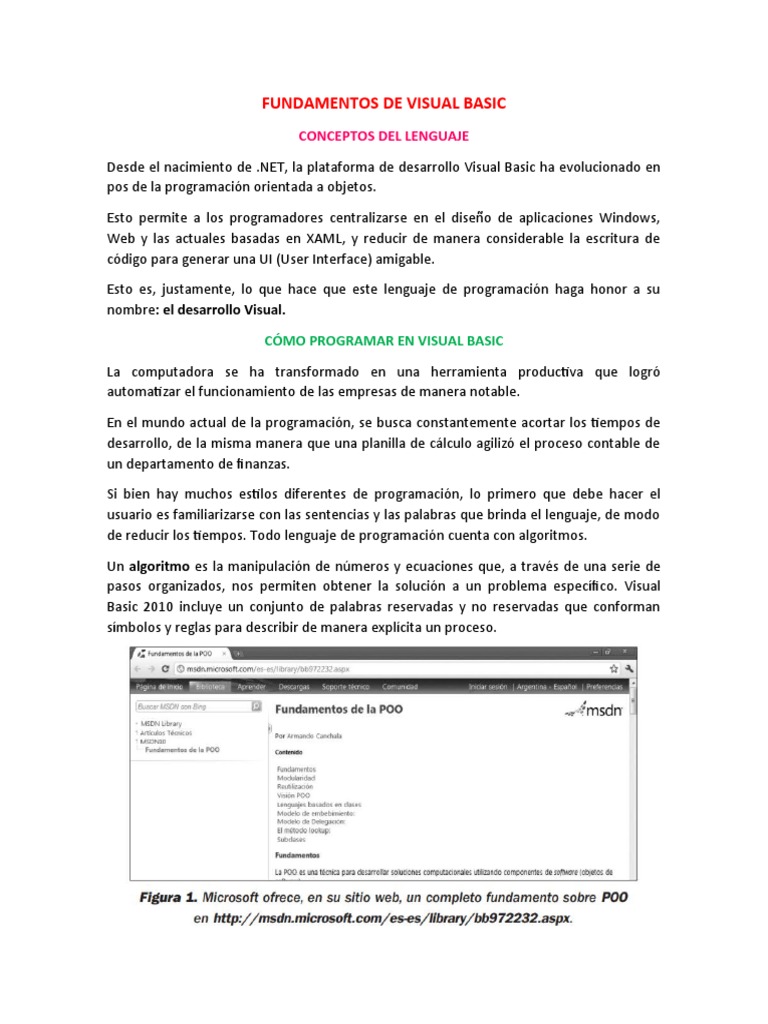 Fundamentos de Visual Basic: Tipos de datos y palabras reservadas | PDF | Lenguaje de ...