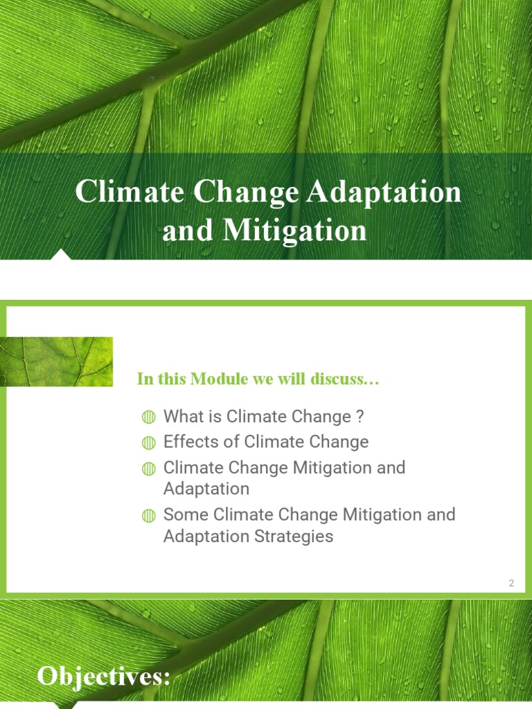 Climate Change Adaptation and Mitigation | PDF