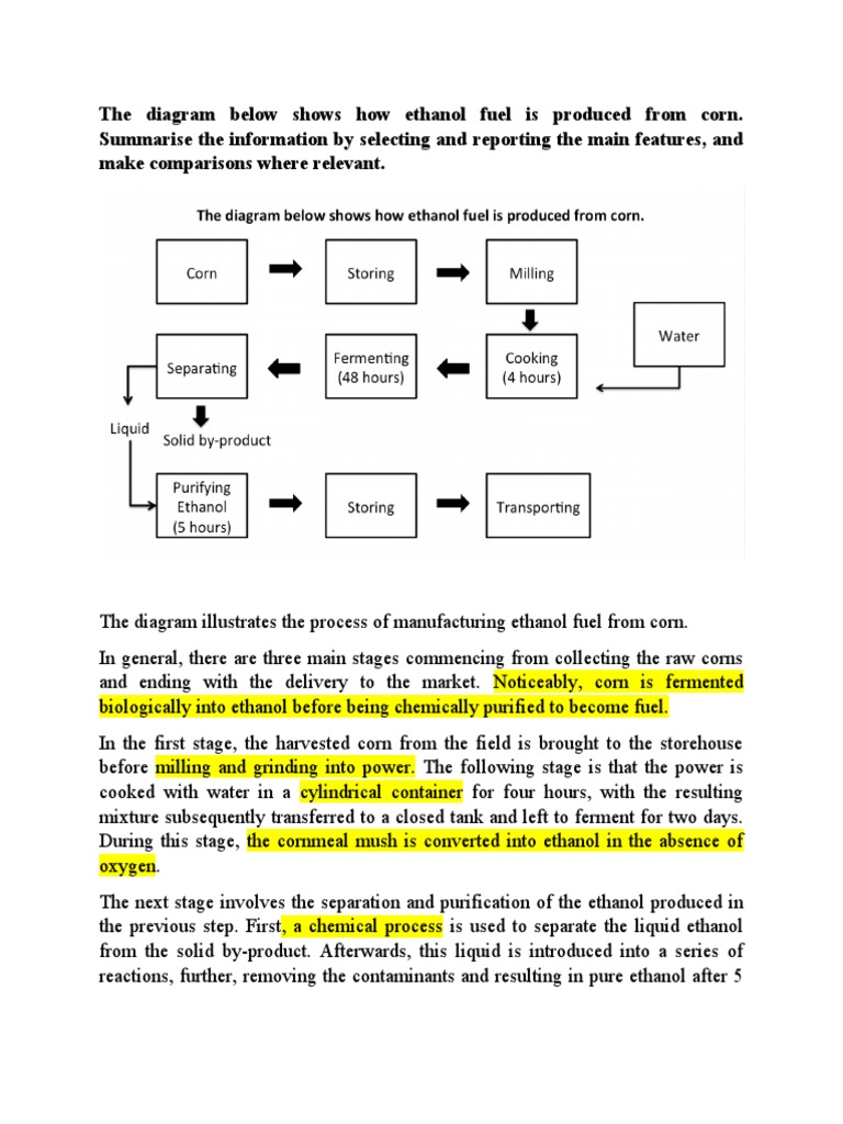 Task 1 Process | PDF
