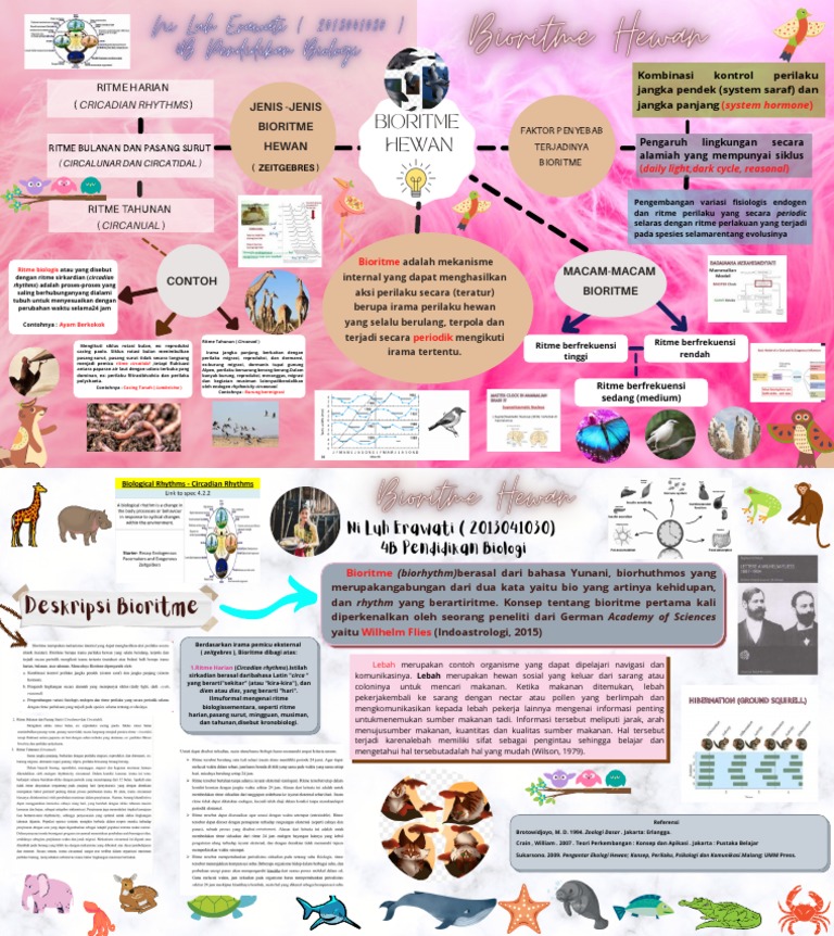 Understanding Biological Rhythms: An Overview of Circadian, Circannual ...