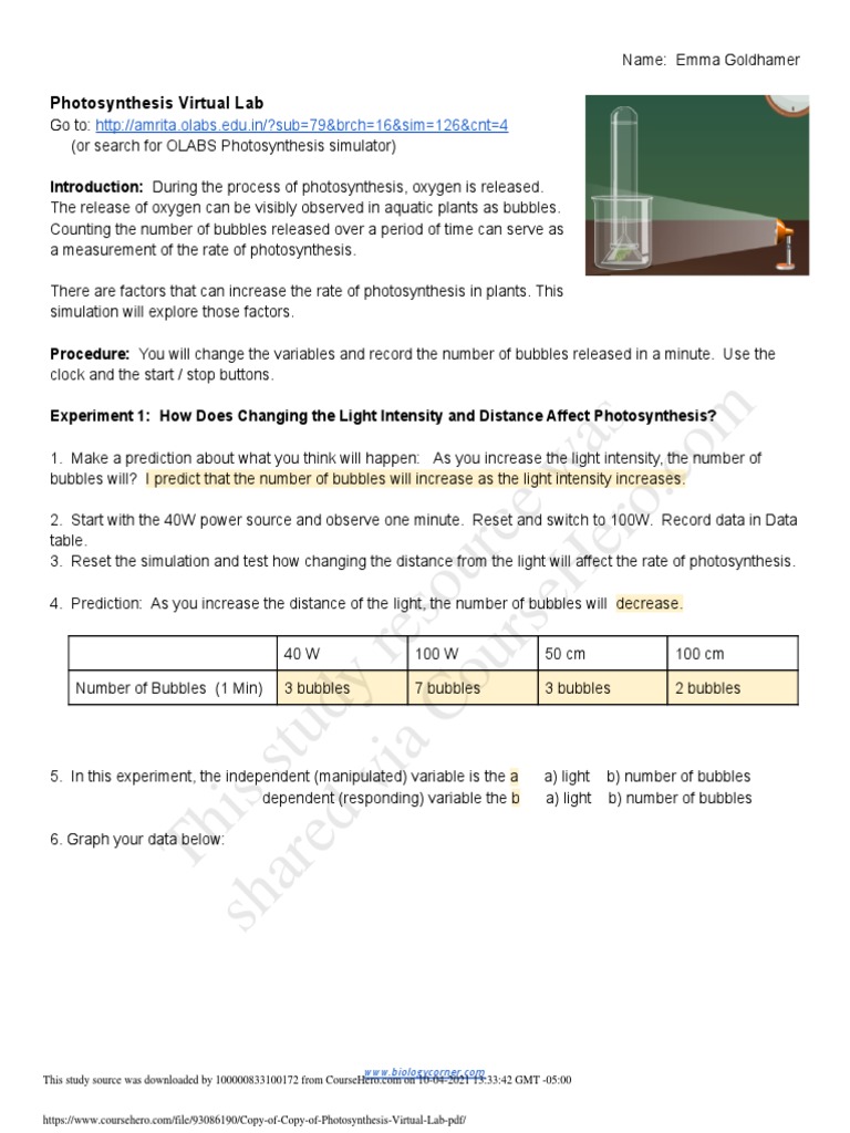 This Study Resource Was: Photosynthesis Virtual Lab | PDF | Experiment ...