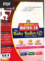 Baby Bullet Maths-2b | PDF