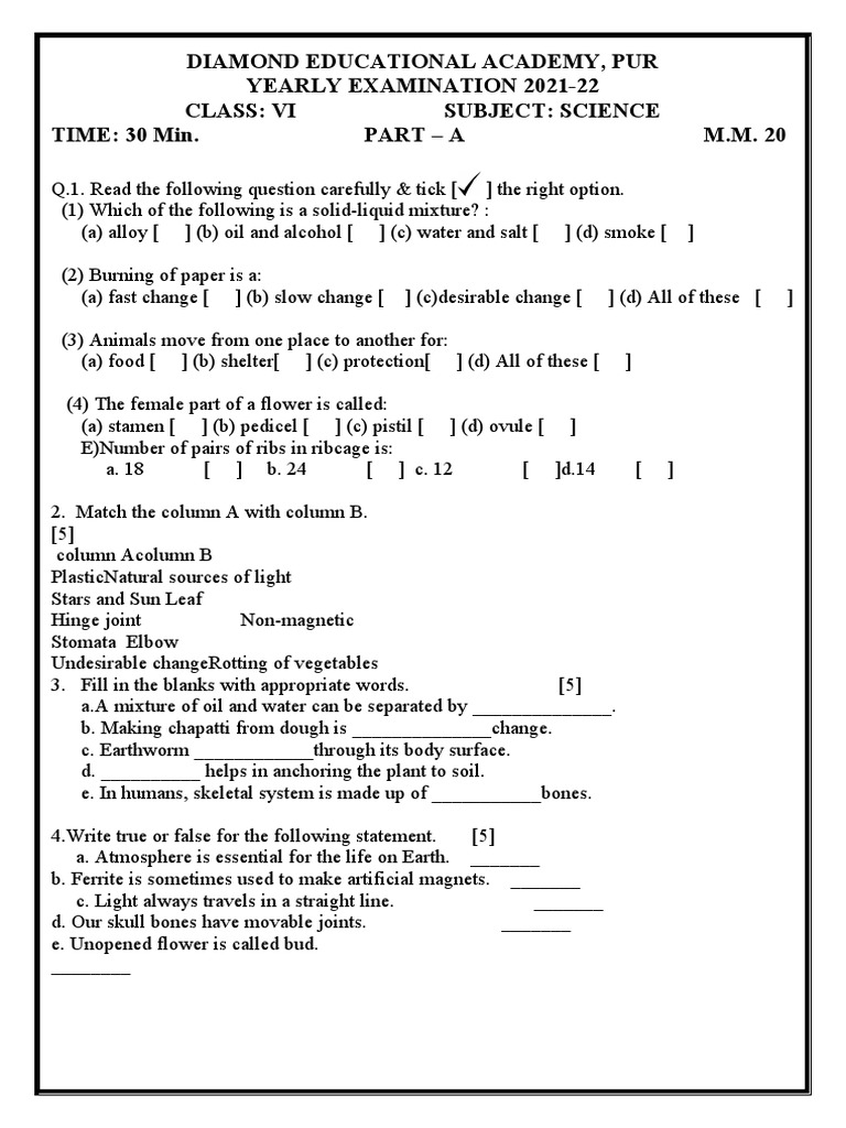 6th Science Paper Y | PDF | Plants