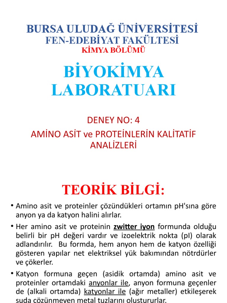Deney | PDF