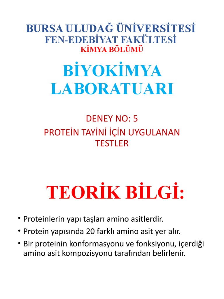 Deney | PDF
