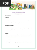 Secuencia Didáctica: Campo y Ciudad | PDF | Geografía