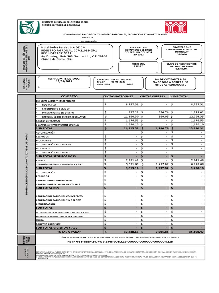 Formato Sua-Febrero | PDF