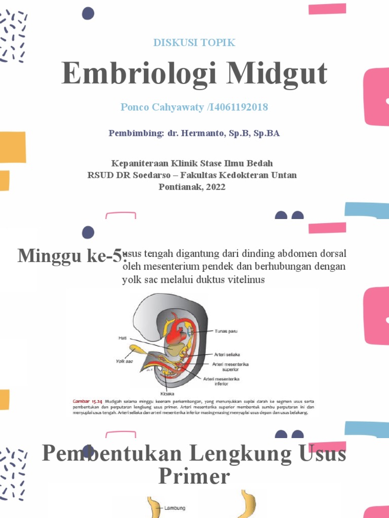 DT Embriologi Midgut Dan Atresia Jejenum-Ileum | PDF