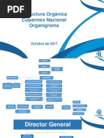 Organigrama Ternium | PDF