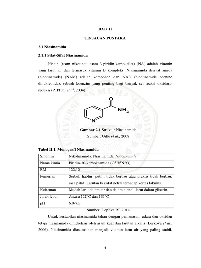 Jiptummpp GDL Niswatulim 48765 3 Bab2 | PDF