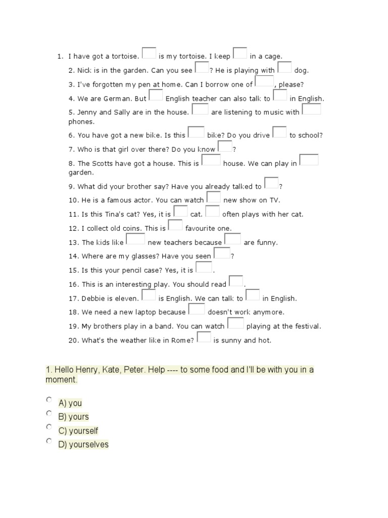 Mixed Pronoun Exercises | PDF
