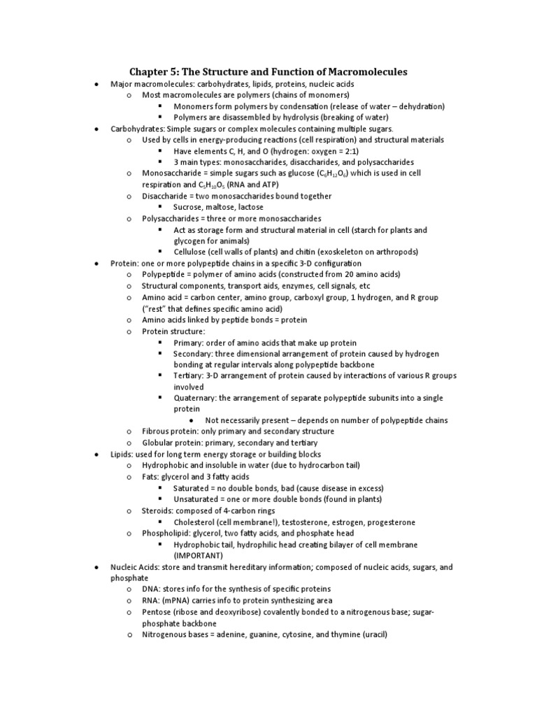 Chapter 5 The Structure And Function Of Macromolecules Pdf Carbohydrates Macromolecules