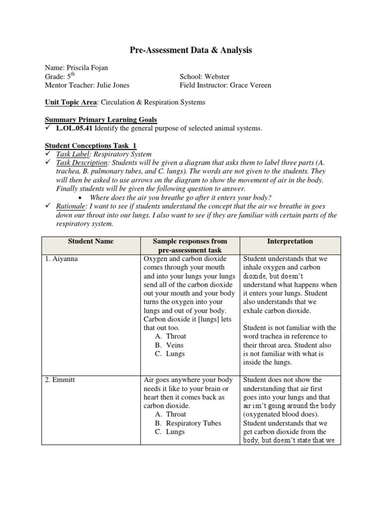 Pre-Assessment Analysis | PDF | Lung | Vein