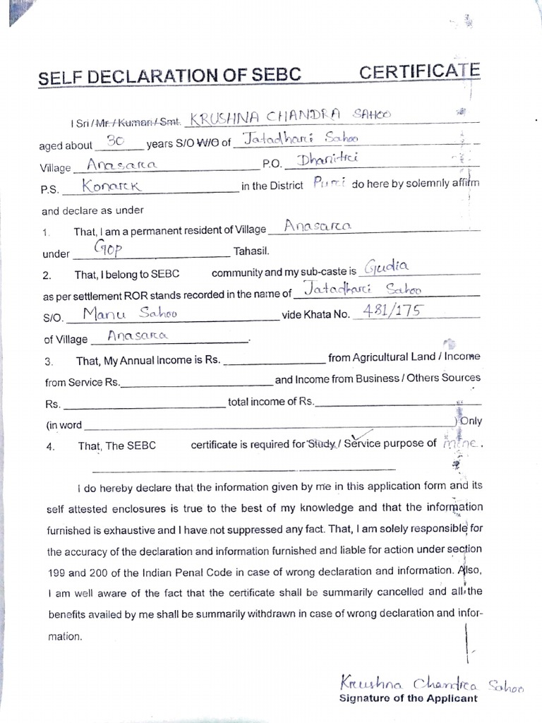 Sself Declaration Sebc | PDF