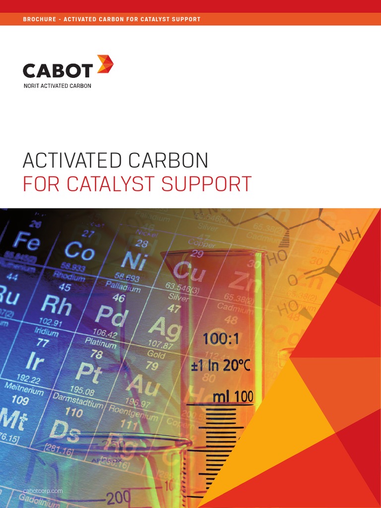 Brochure Catalyst Support | PDF | Catalysis | Chemical Kinetics