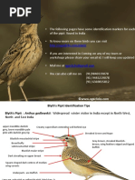 CLASS 3 SCIENCE CHAPTER 3 BIRDS Mrs. Geetarani Das | PDF | Birds | Feather
