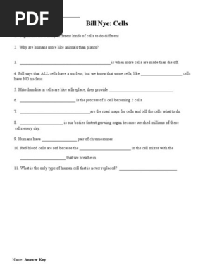 Bill Nye Cells Worksheet Answer Key