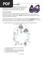 Membrane Function Pogil Key | PDF | Cell Membrane | Cell (Biology)