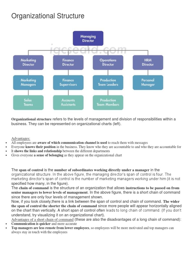 Organizational Structure | PDF | Organizational Structure | Leadership