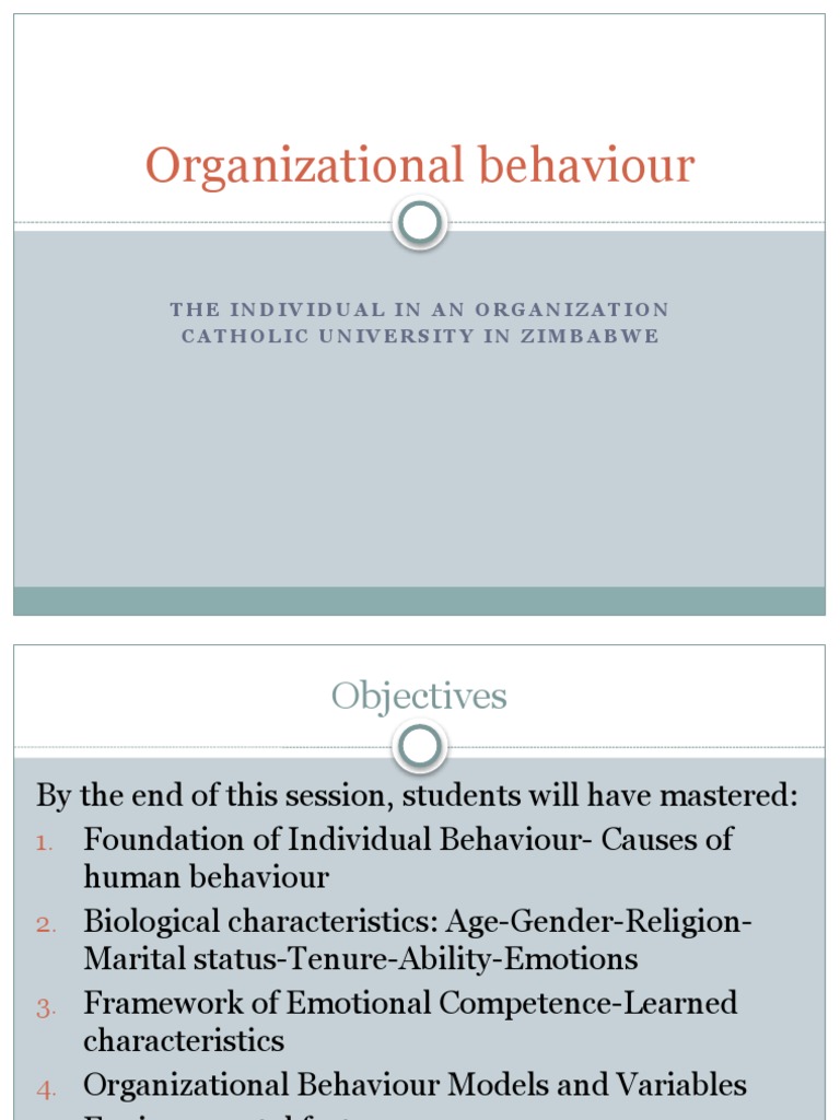 The Individual in Organization | PDF | Job Satisfaction | Employment