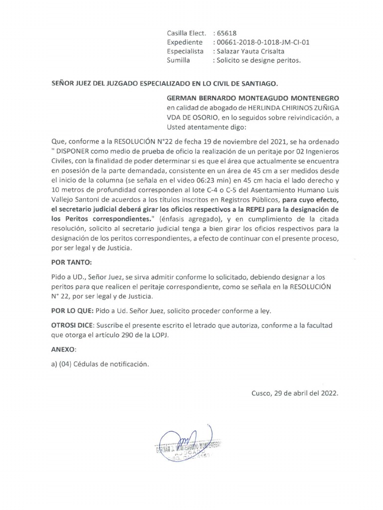 Solicitud de Designación de Peritos | PDF