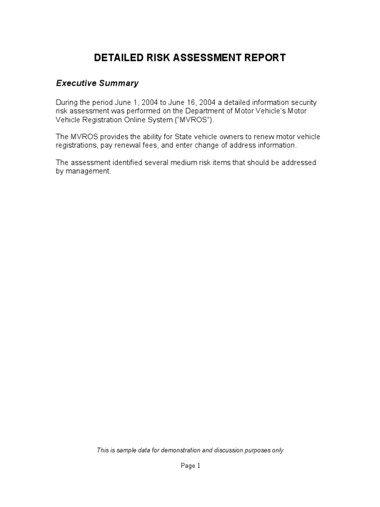 Detailed Risk Assessment Report: Executive Summary | Download Free PDF ...