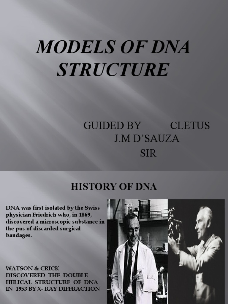 DNA Structure Models: A, B, Z Forms | PDF | Genetics | Nucleic Acid ...