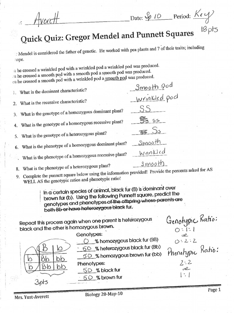 Punnett Square Practice Answer Key | PDF