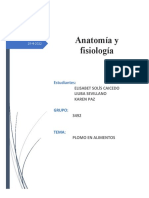 Intoxicacion Por Plomo Orgánico e Inorgánico. | PDF | Dirigir | Calcio