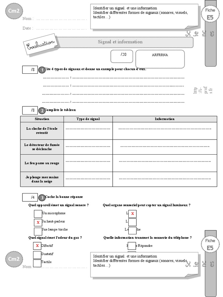 Cm2 Evaluation Signal Information | PDF | Sens (physiologie)