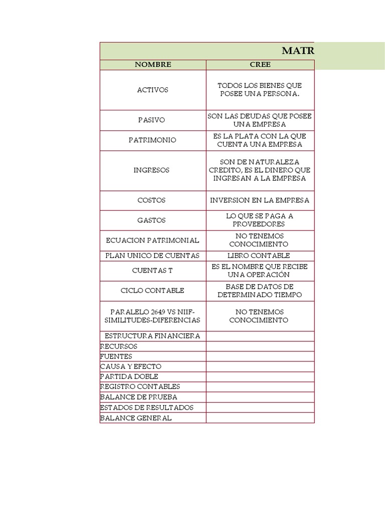 Matriz de Contabilidad | PDF