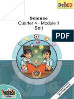 Science 4 Week 4 Quarter 2 | PDF | Plants | Soil