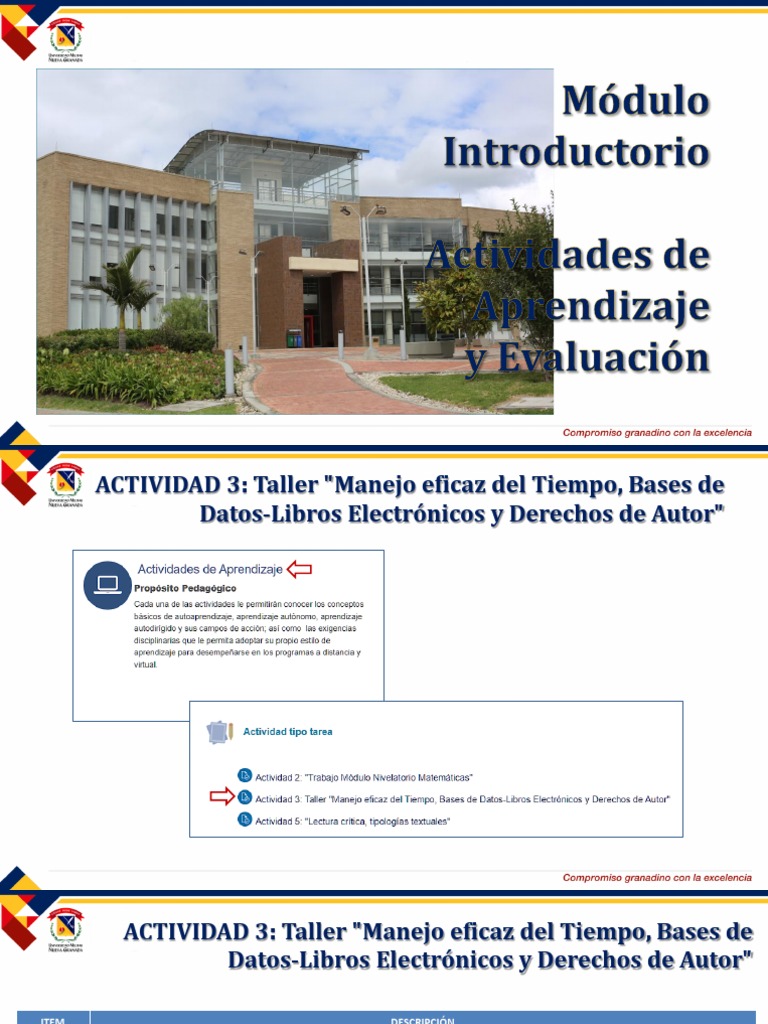 Módulo Introductorio ACTIVIDADES | PDF | Cuestionario
