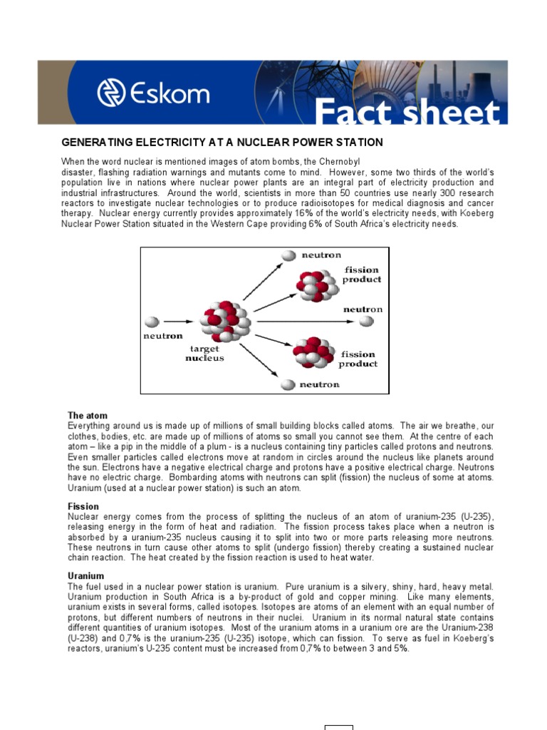 Electricity Generation | PDF | Nuclear Reactor | Nuclear Fuel