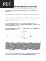 Continuous and Discontinuous Variation Lab | PDF | Phenotype | Gene