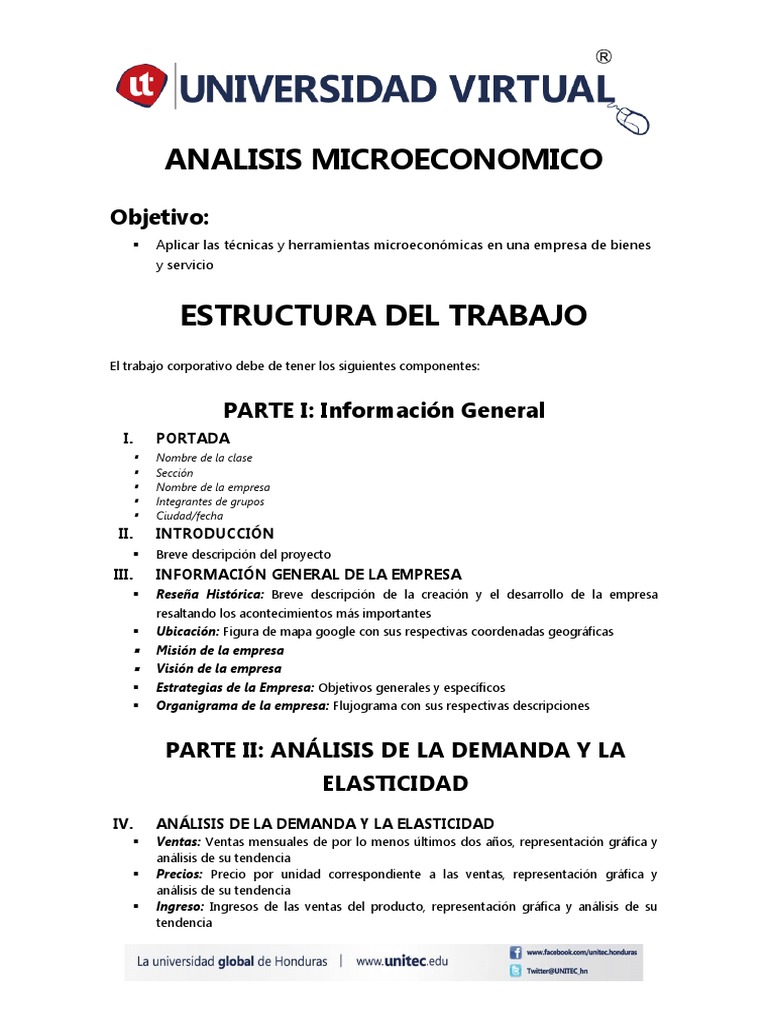 Proyecto Micro Informe Final | PDF | Elasticidad (economía) | Microeconomía