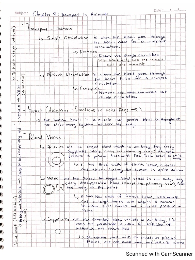 Biology IGCSE Chapter 9 - Transport in Animals | PDF