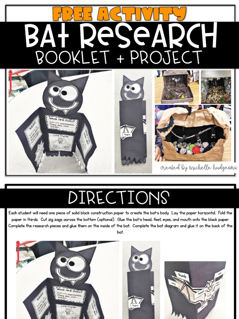 Bat Research Project Guidelines | PDF | Bat