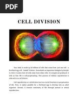Cell Cycle Lesson Plan | PDF | Mitosis | Cell Growth