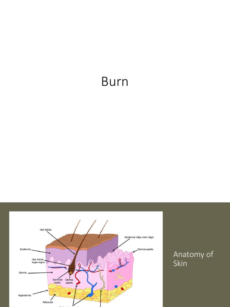 11 Burn | PDF | Burn | Respiratory Tract