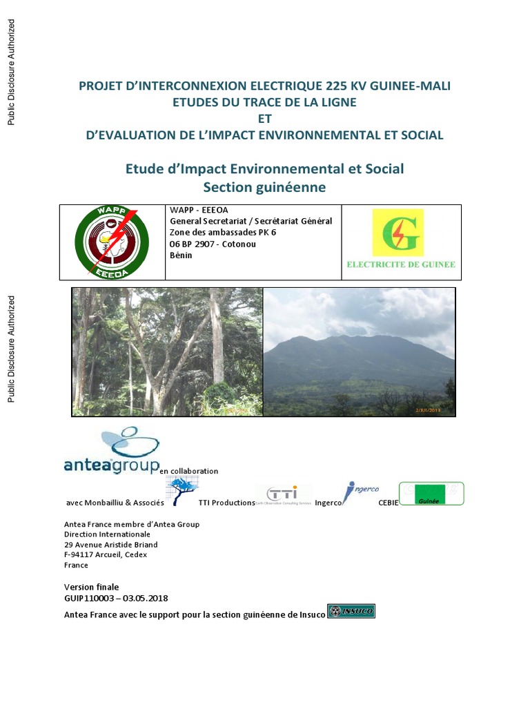 Rapport EIES Guin e Final 20180503 | PDF