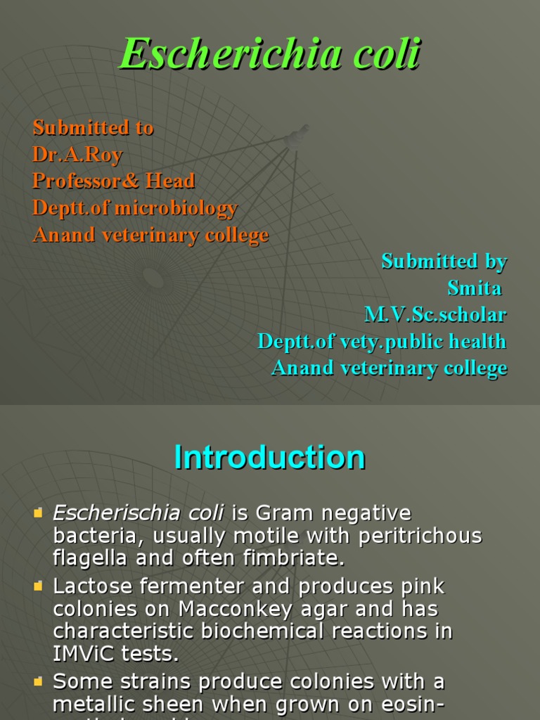 Introduction to Escherichia coli | PDF | Escherichia Coli ...