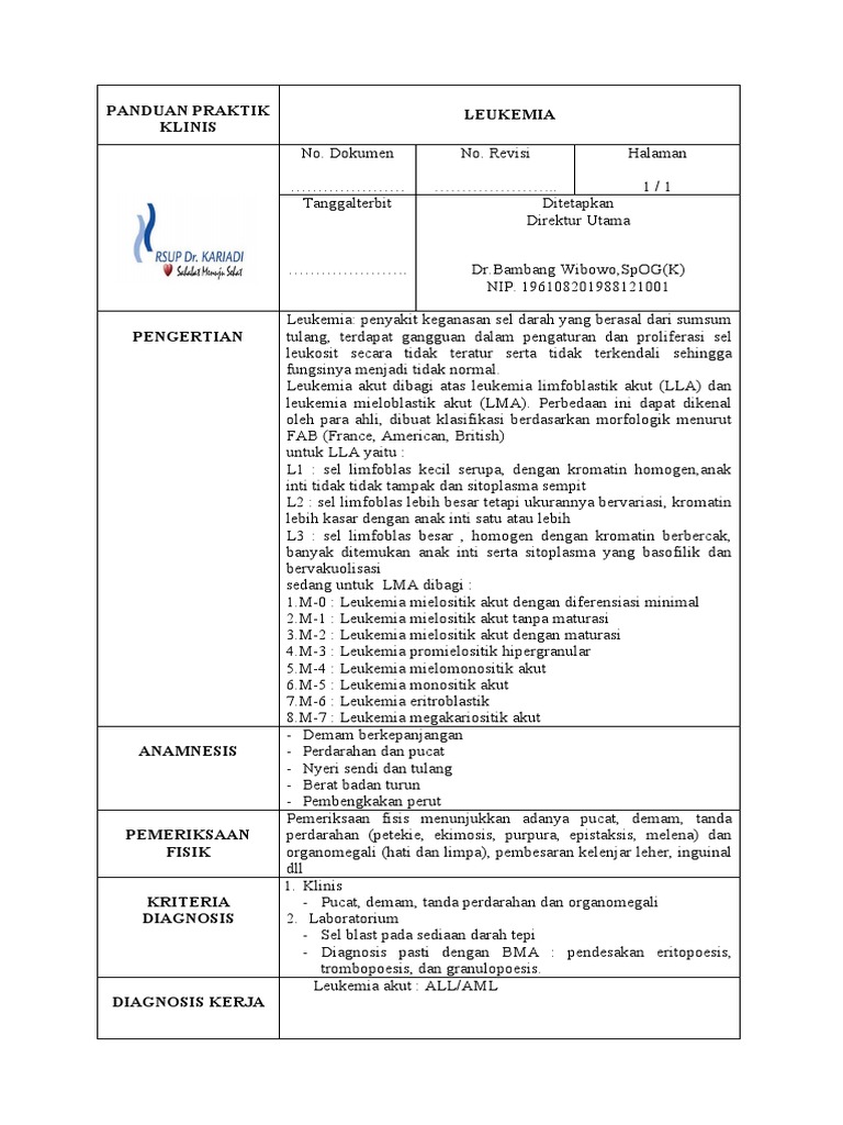 PPK - Leukemia | PDF