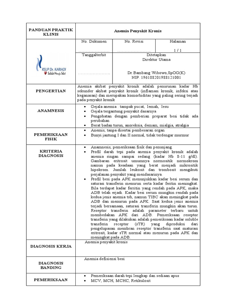 PPK-Anemia Penyakit Kronis | PDF