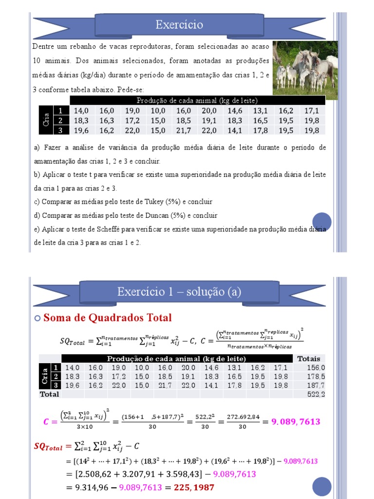 Aula 8 - Exercicio | PDF