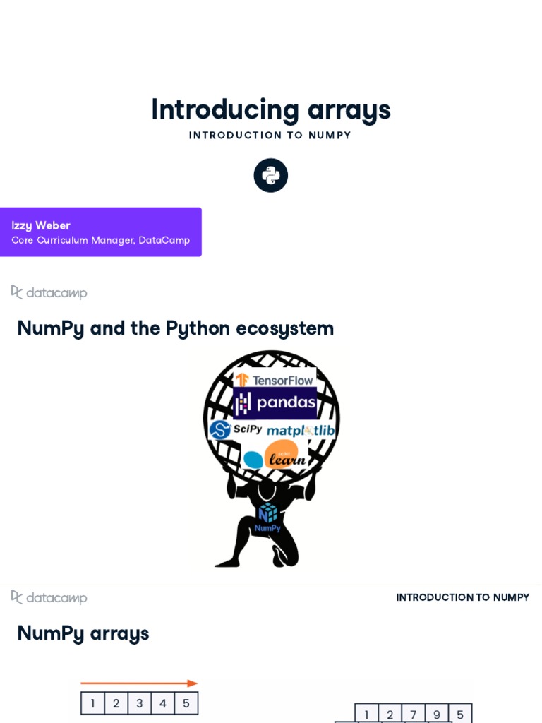 Introducing Arrays: Izzy Weber | PDF | Boolean Data Type | Computer ...